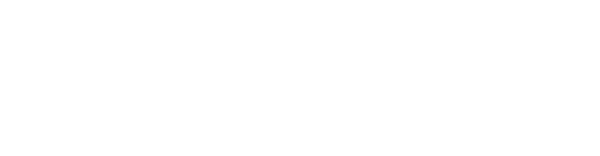 Carelon Insurance - BHC